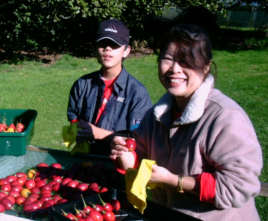 Te Oranga holiday accommodation